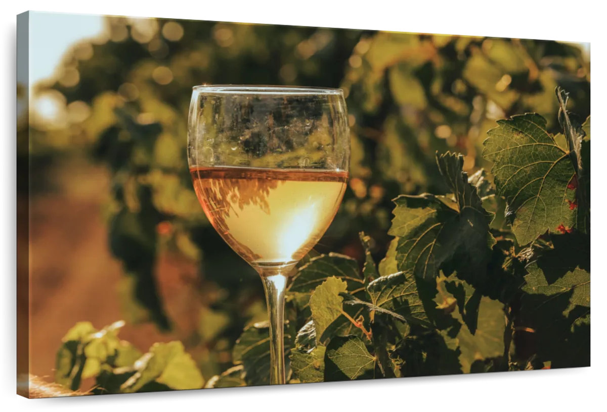 Elephant Stock Vineyard White Wine | Wayfair