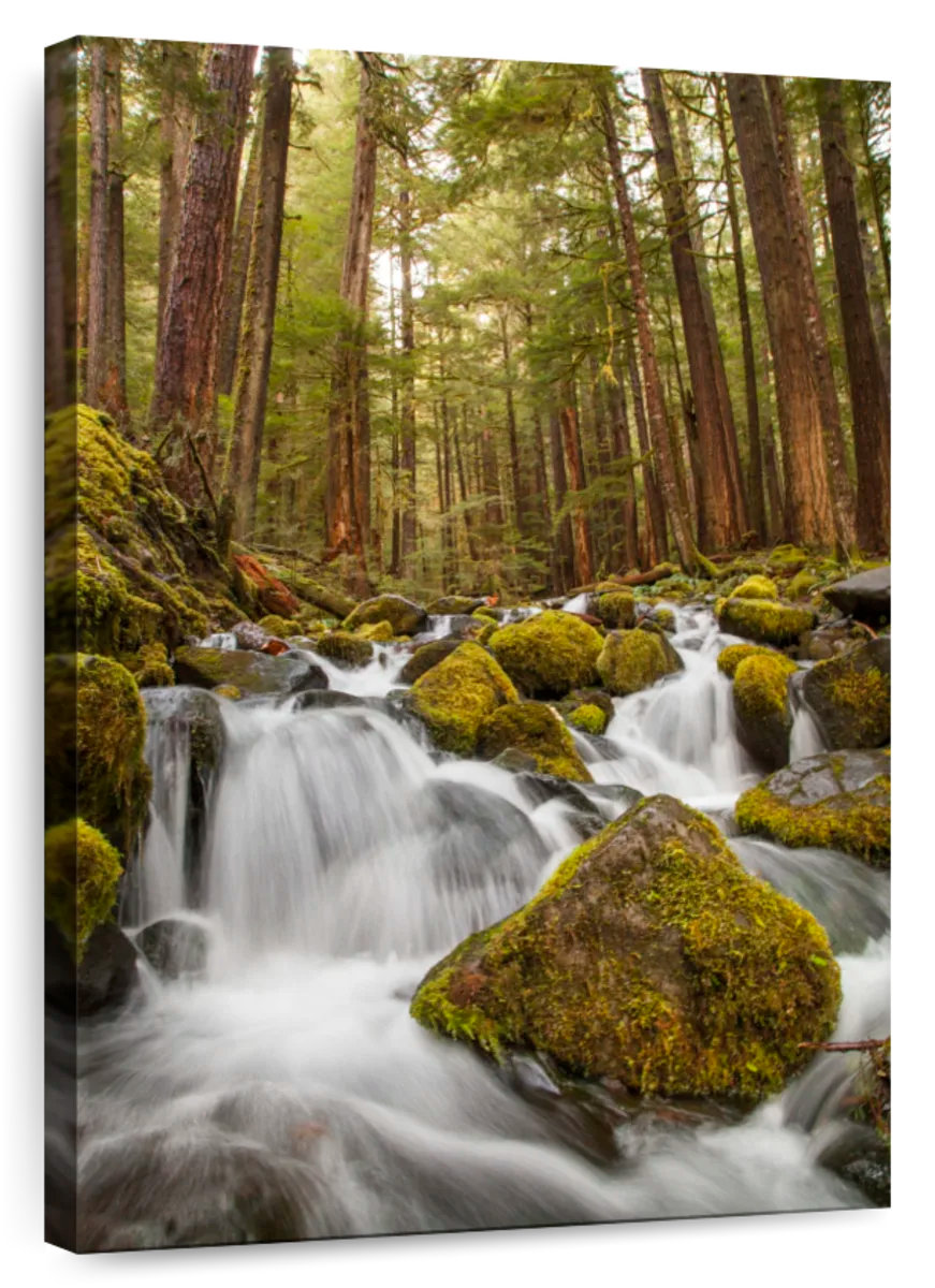 Elephant Stock Forest Stream Boulder | Wayfair