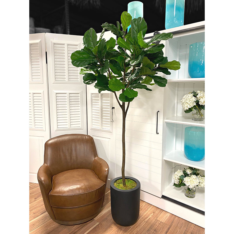Creative Displays, Inc. 7' Faux Fiddle Leaf Fig Tree | Wayfair
