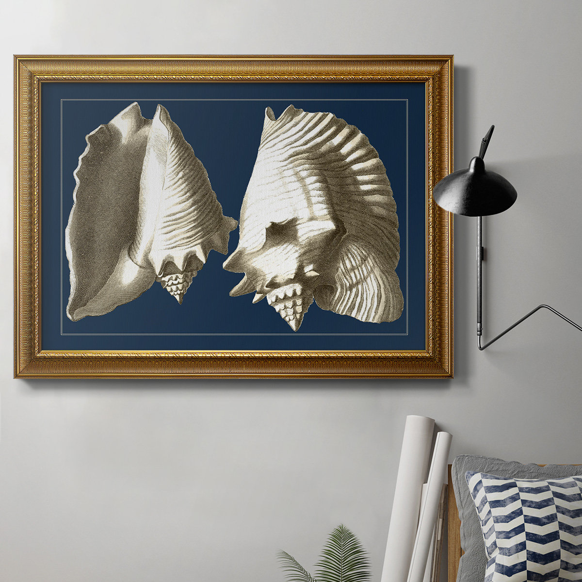 Rosecliff Heights Conch Shells on Navy I - Picture Frame Graphic Art on ...