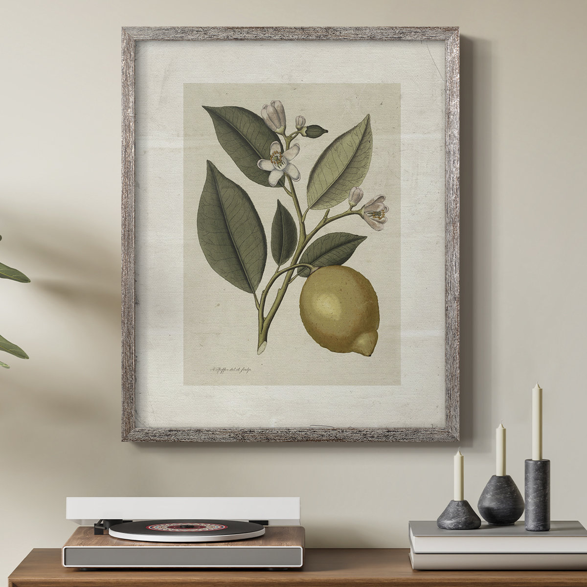 Winston Porter Vintage Floral Print CCCLXXIII Framed Print - Solid Wood ...