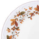 Pfaltzgraff Autumn Berry 16-Piece Stoneware Dinnerware Set, Service for ...