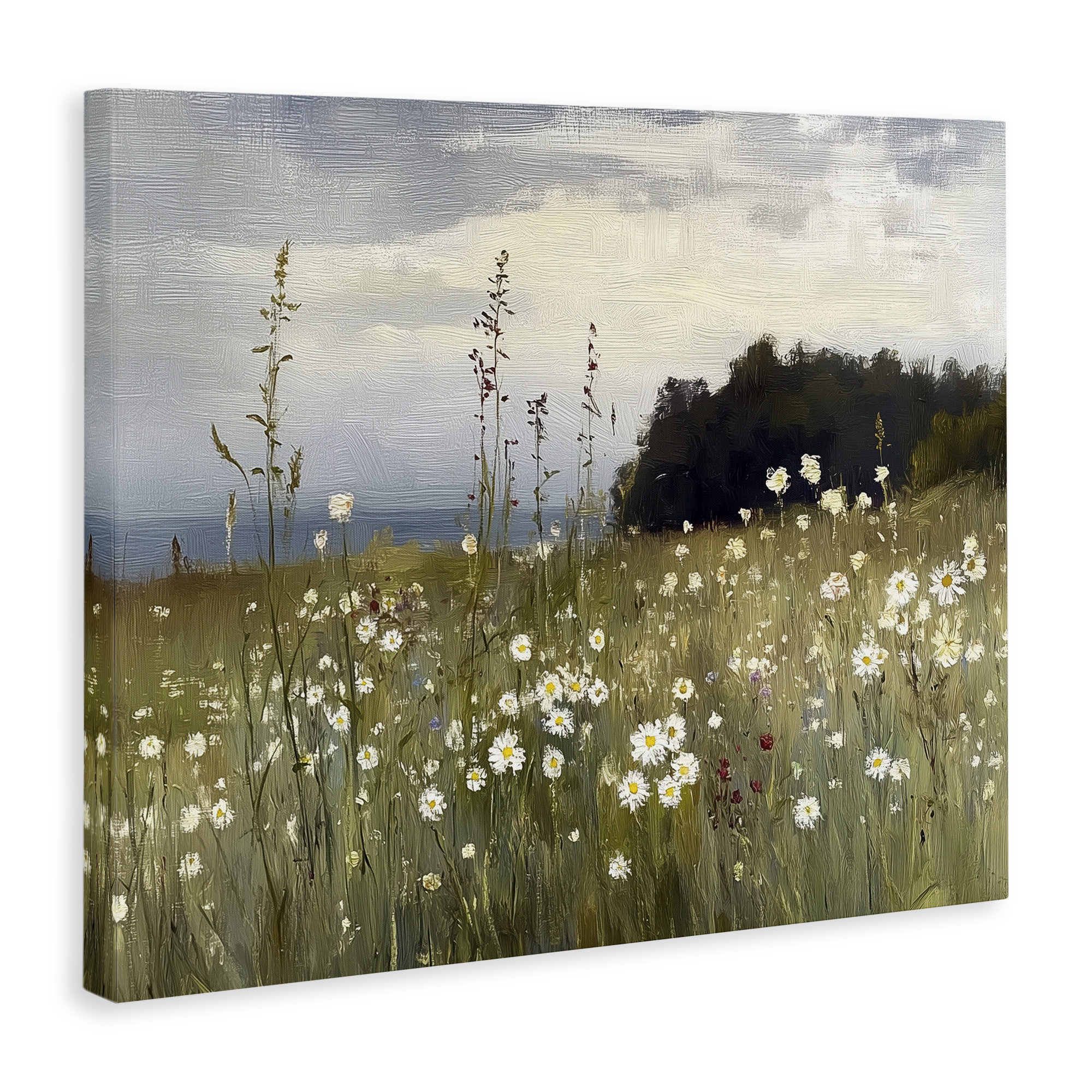 Alcott Hill® Seaside Daisy Meadow Canvas Wall Art, design by Annabelle ...