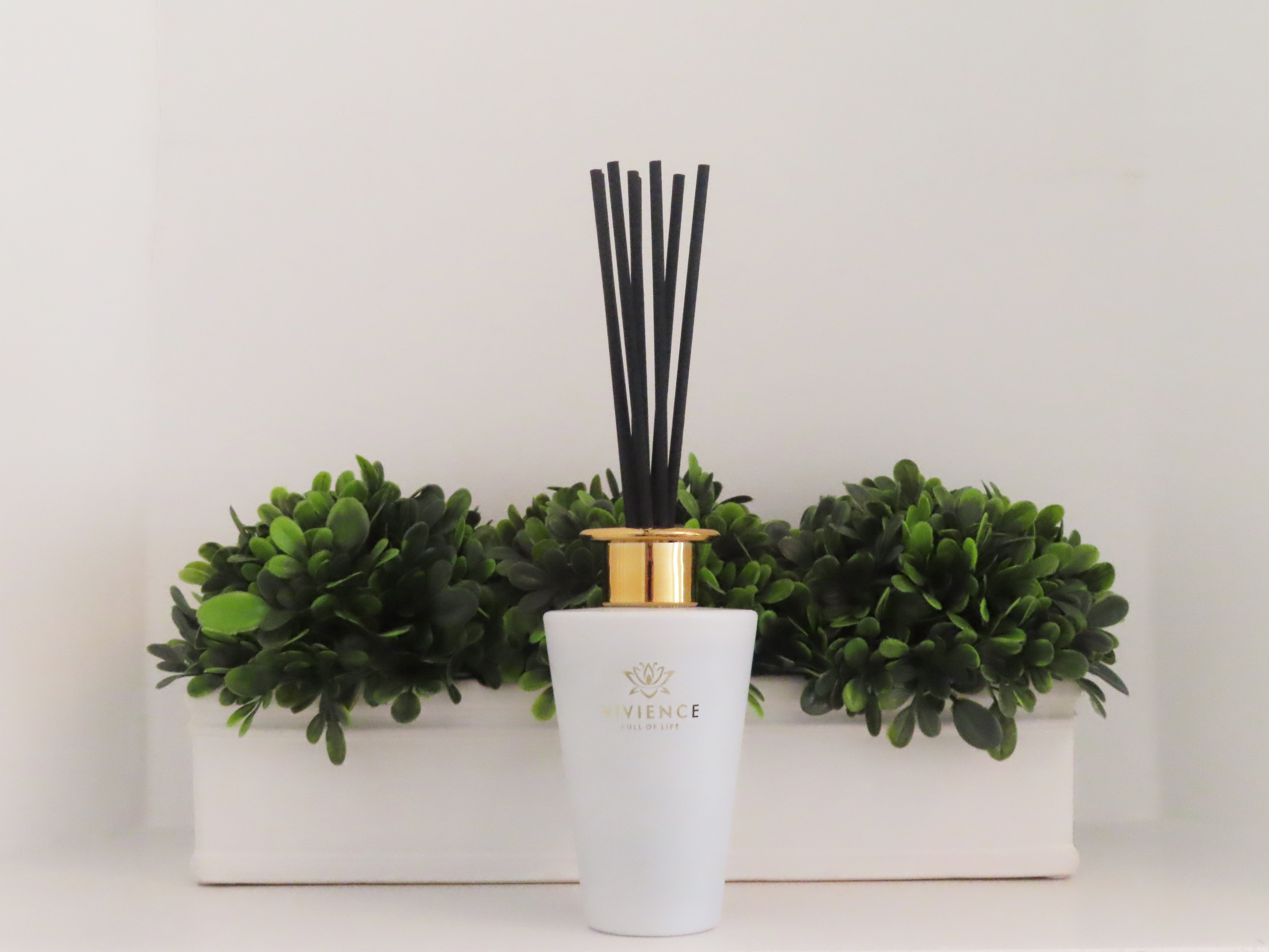 Vivience White Bottle Gold Cap Reed Diffuser & Reviews | Wayfair