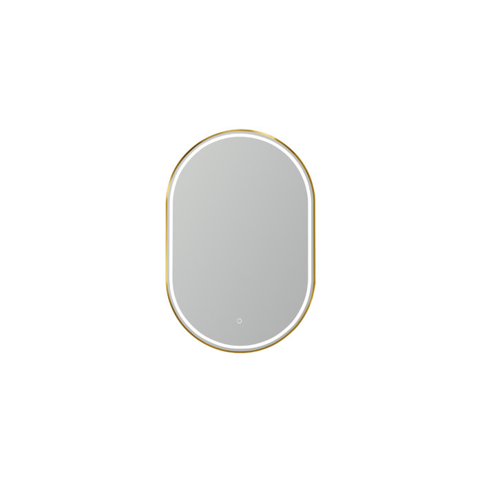 Mercury Row® Orta Metal Flat LED Wall Mirror & Reviews | Wayfair