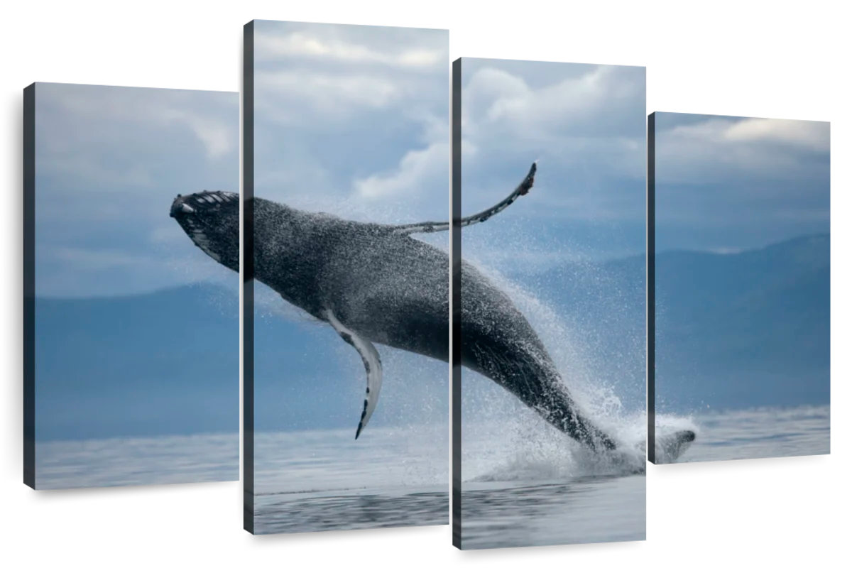 Ebern Designs Breaching Humpback Whale - Wayfair Canada