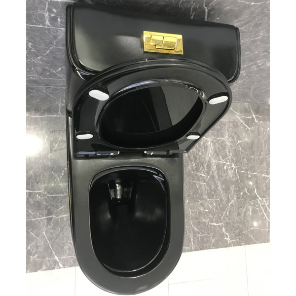 WATERMONY Dual-Flush Elongated One-Piece Black Toilet (Seat Included ...