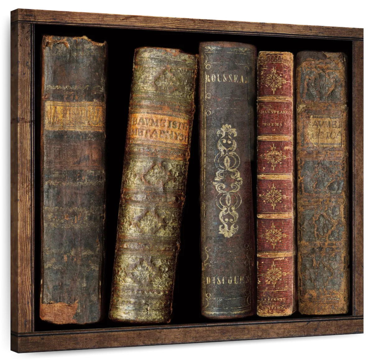 Bungalow Rose Kerner In The Library II | Wayfair