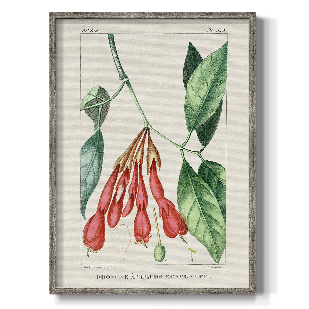 Red Barrel Studio® Turpin Tropical Botanicals I Framed Print - Solid ...