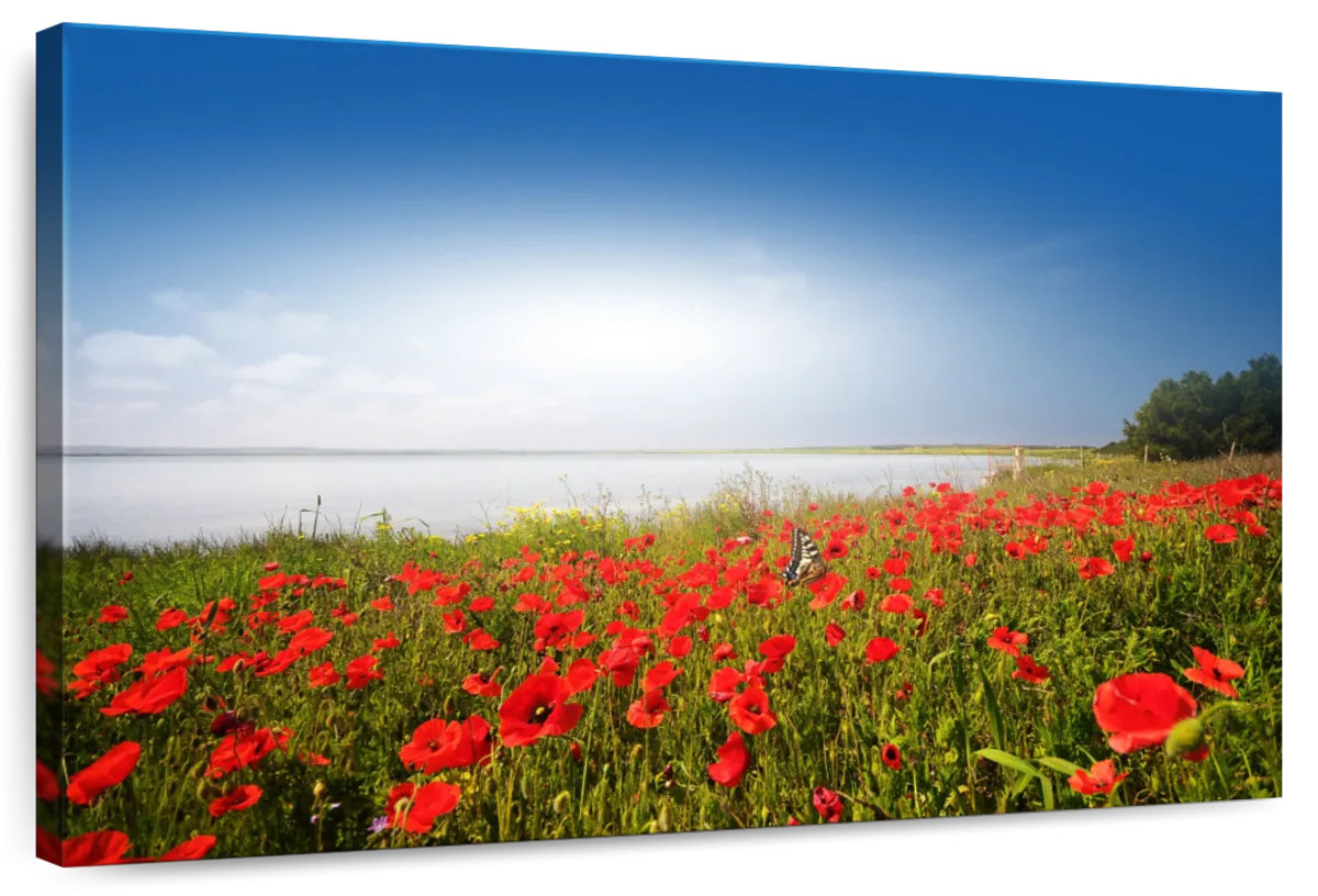 Millwood Pines Alvord Lakeside Poppy Field | Wayfair