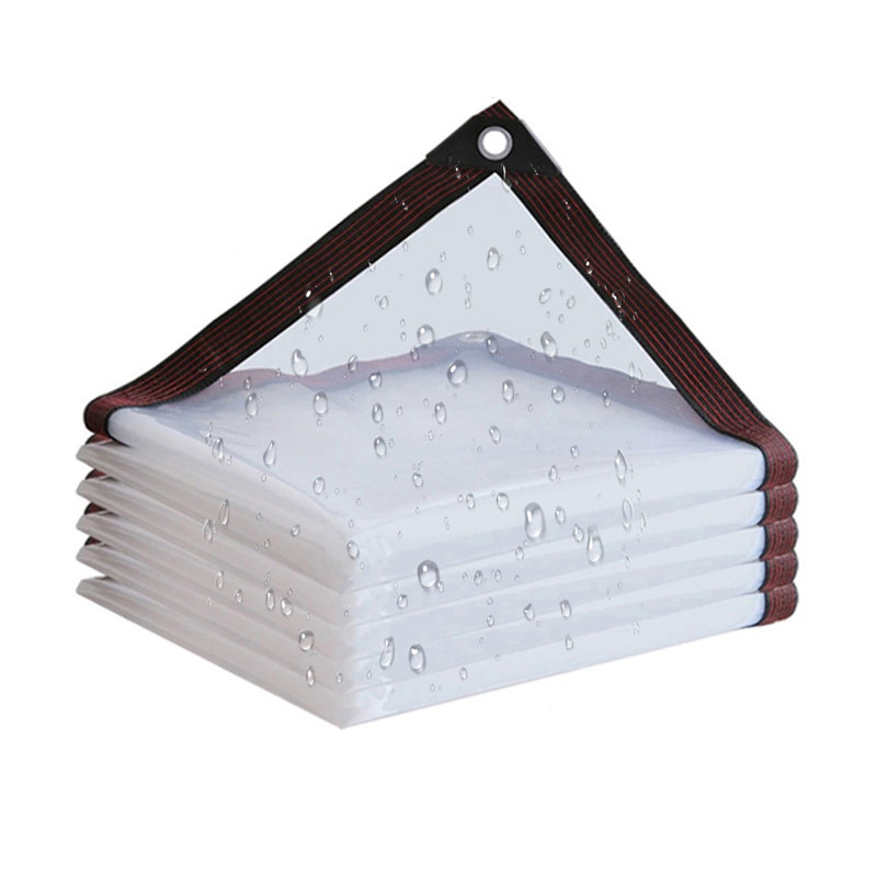 ELEOPTION Clear Polyethylene Plastic Side Wall | Wayfair