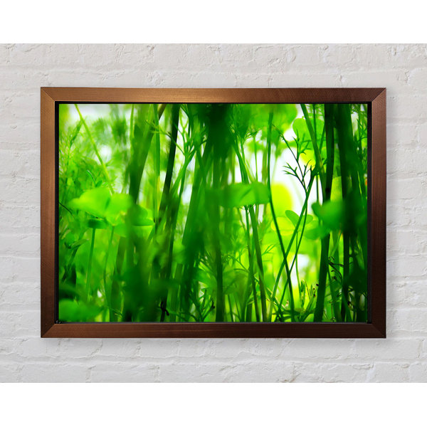 Bright Star Fairies Green Jungle - Single Picture Frame Art Prints ...