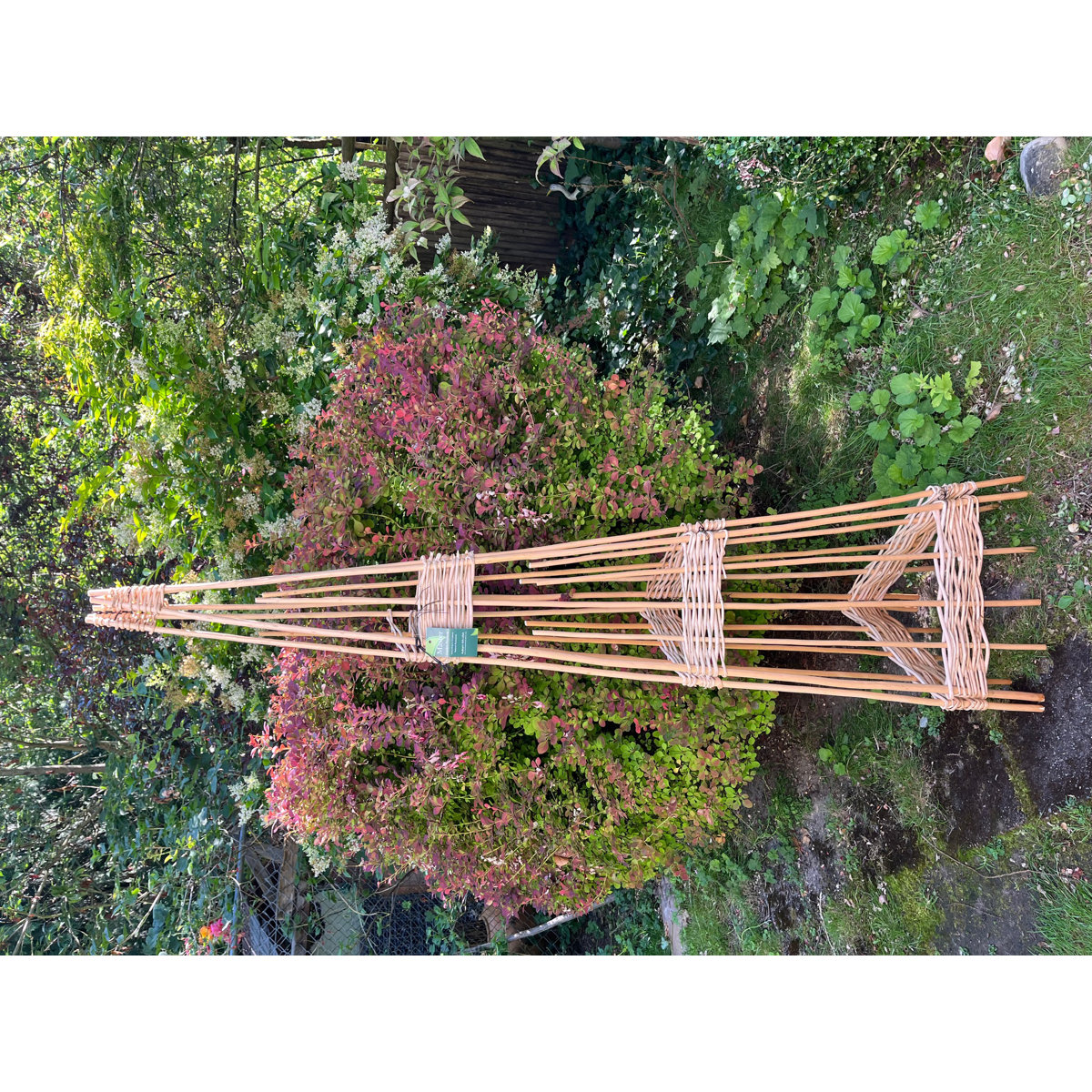 MGP Debarked Willow Foldable 3 sided Obelisk | Wayfair