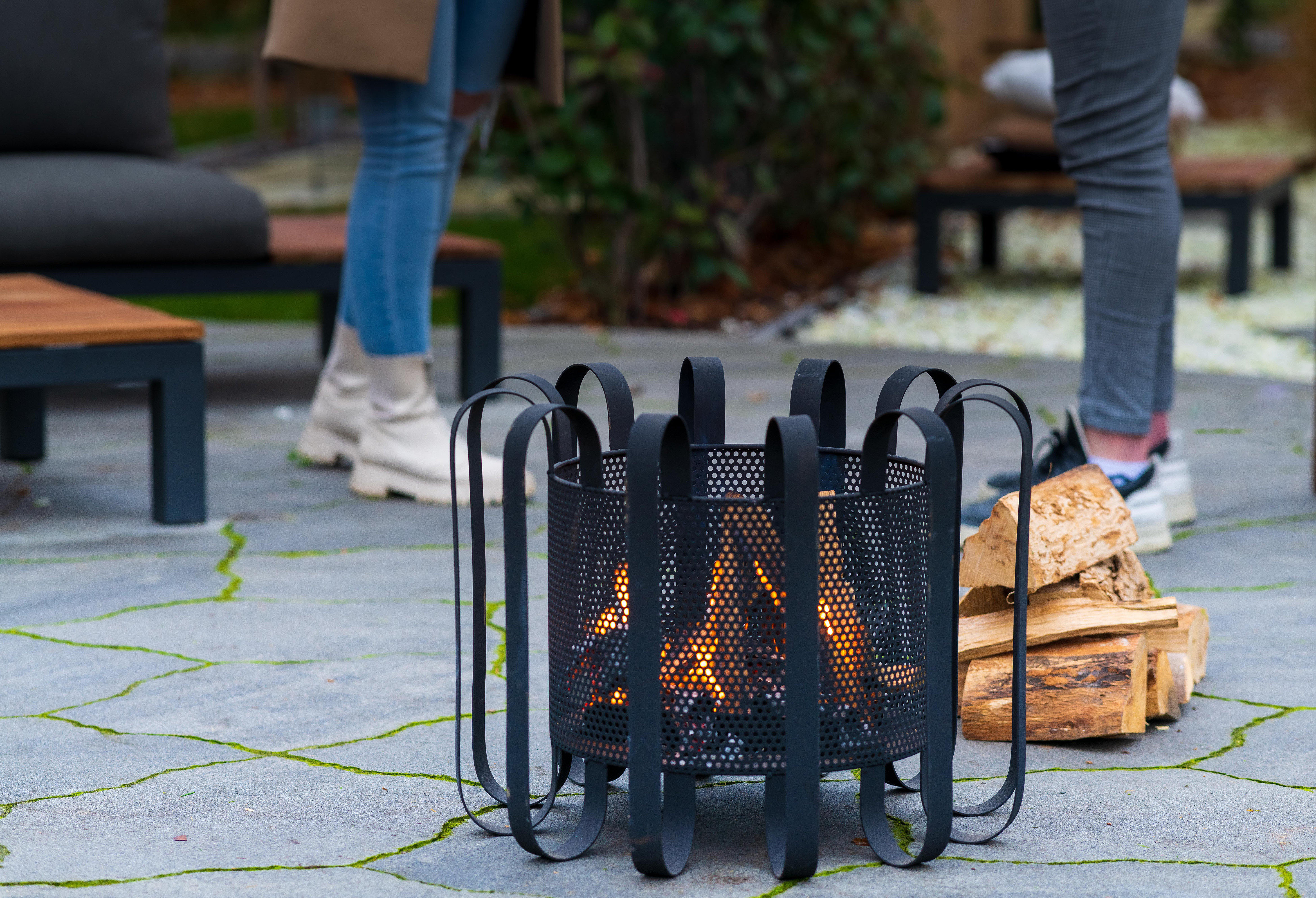 Dakota Fields Brasi 41.5Cm H x 55Cm W Steel Wood Burning Outdoor Fire ...