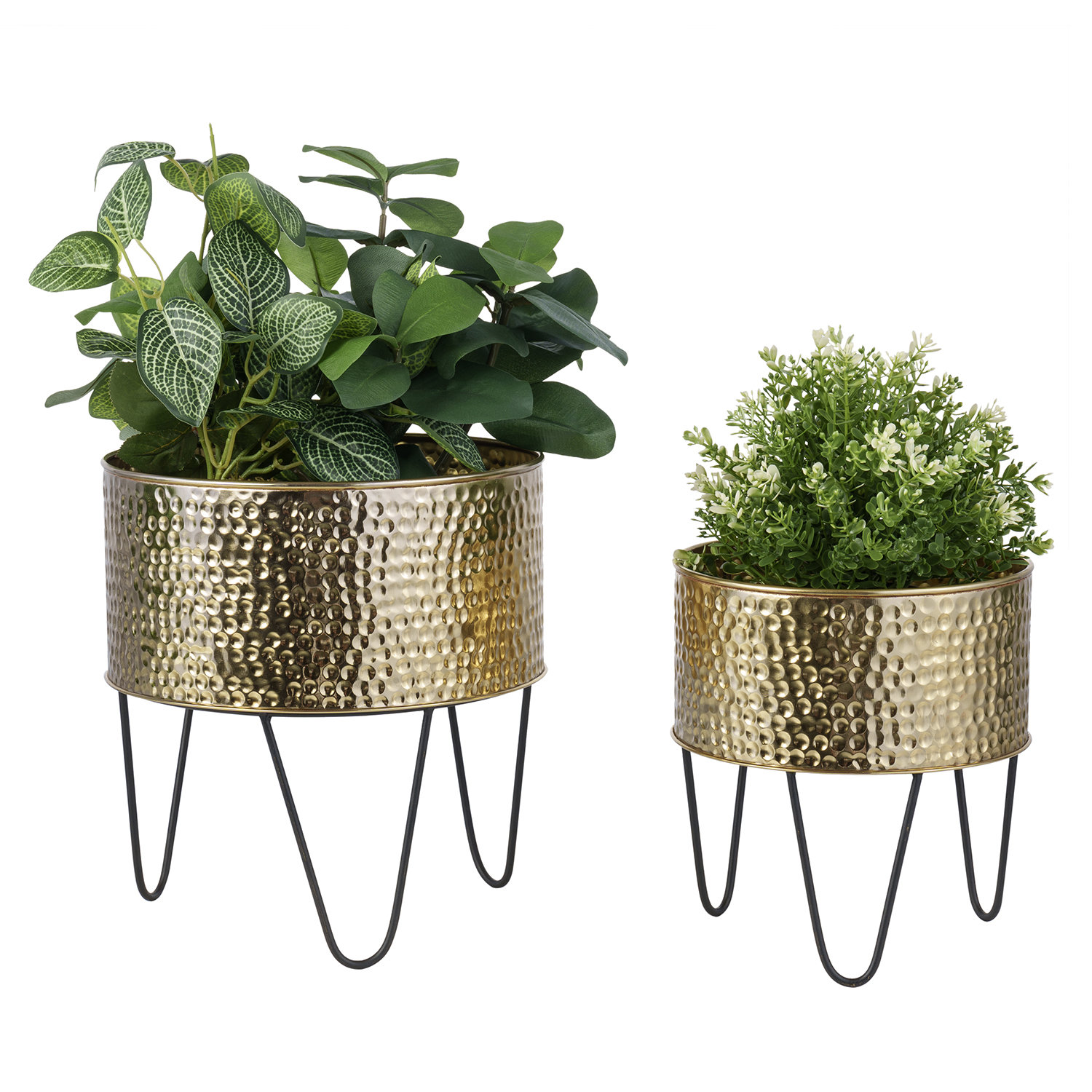 Dakota Fields Chelsen 2 - Piece Metal Cachepot - Wayfair Canada