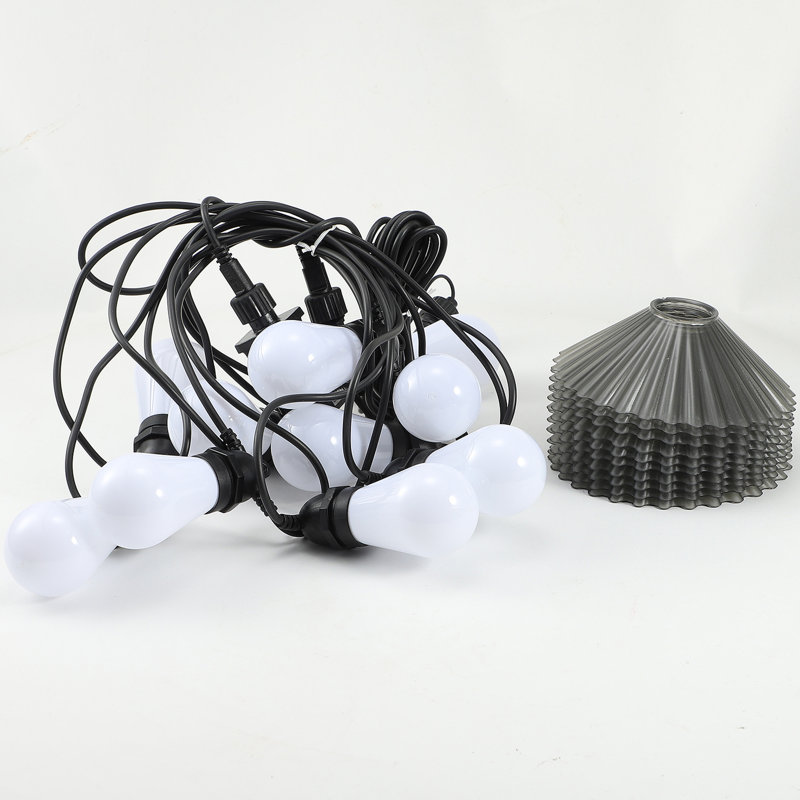 Winston Porter Raegen Outdoor 10 - Bulb 192'' Plug-in String Light ...