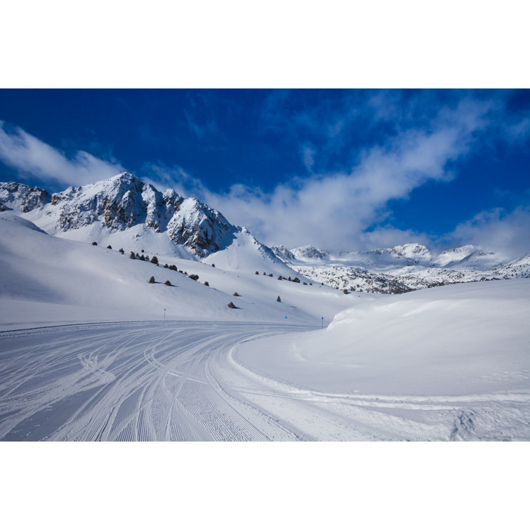 Millwood Pines Aamari " Great Day For Challenging New Slopes " by ...