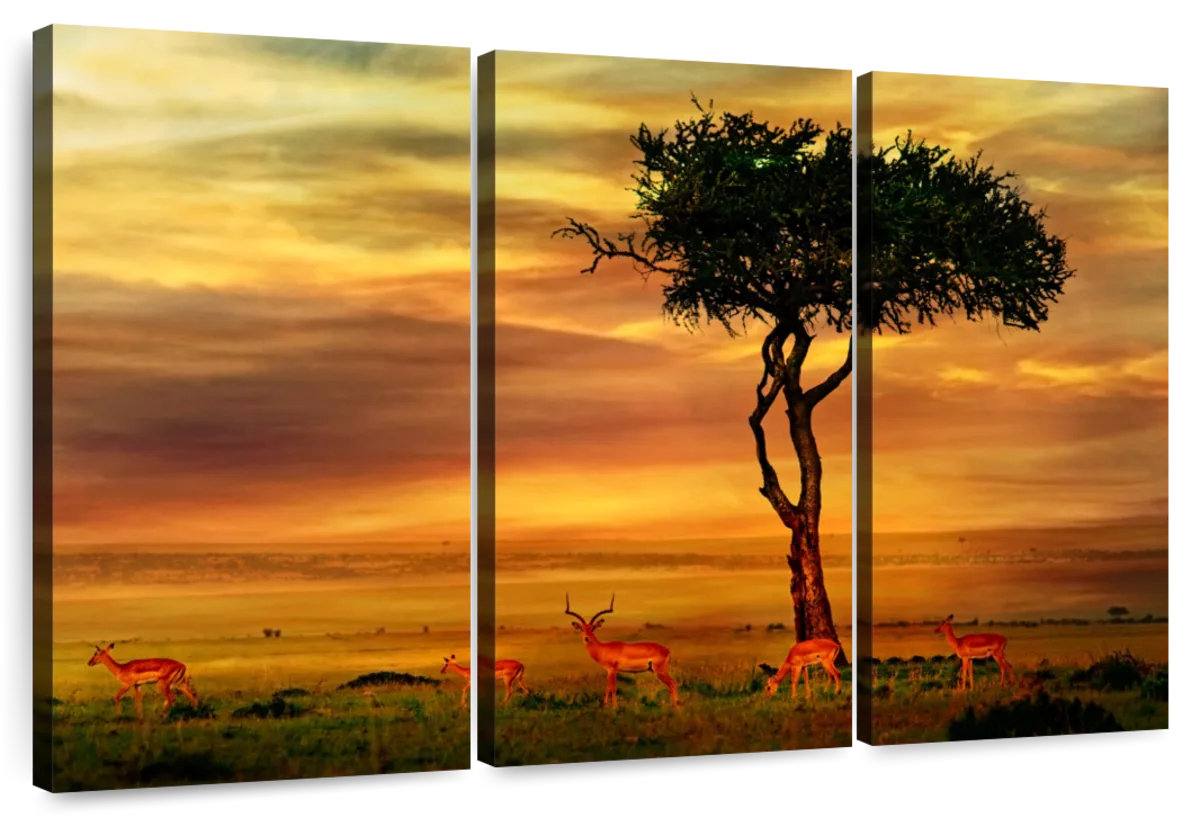 Ebern Designs Brampt African Impalas | Wayfair