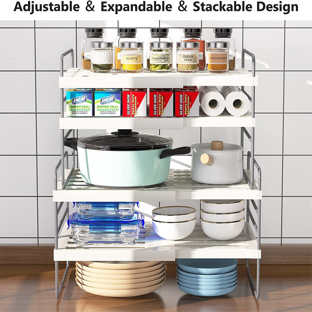 Rebrilliant Benevides Plastic Cabinet Shelving Rack | Wayfair
