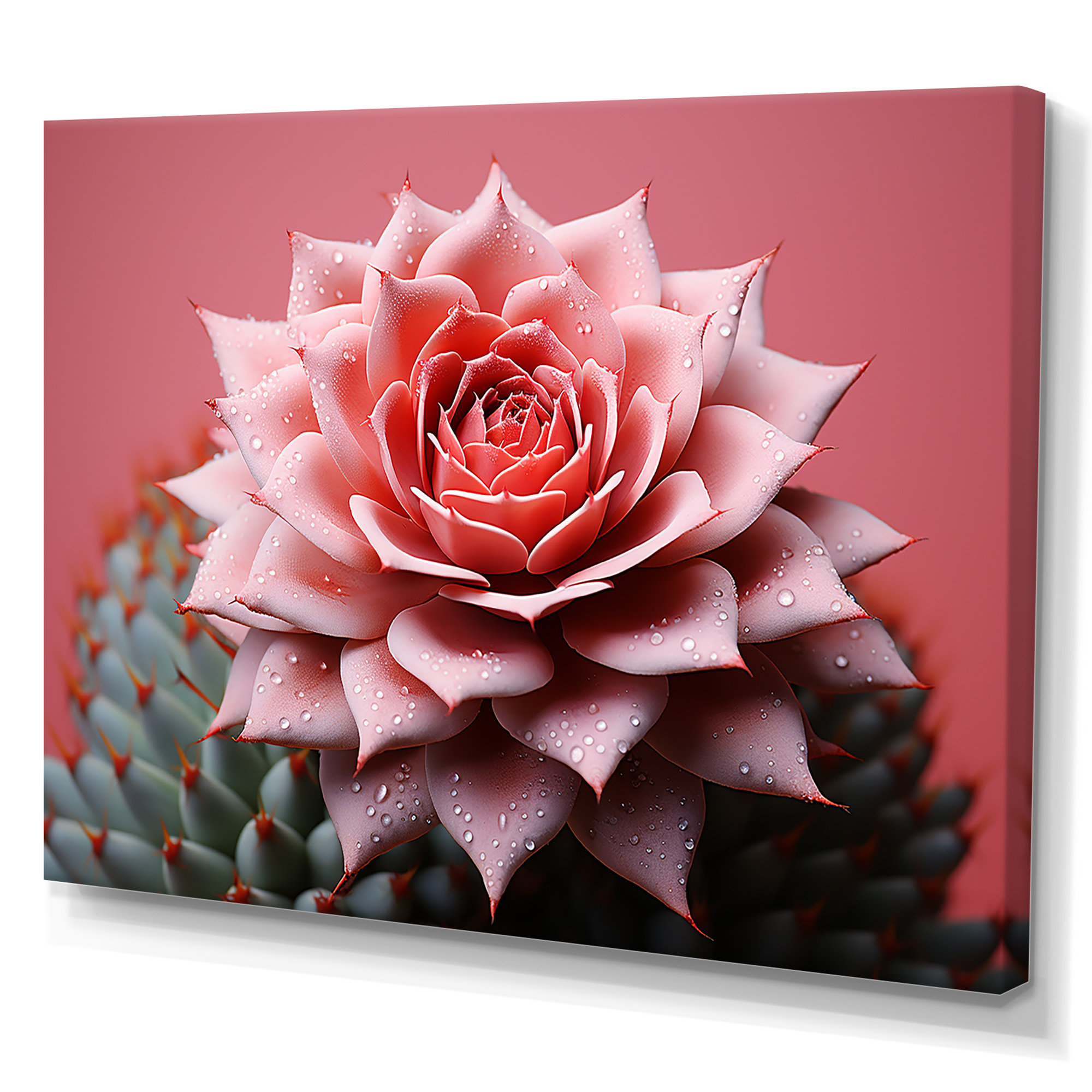 Design Art Cactus Rose Resilience - Cactus Wall Art Living Room ...