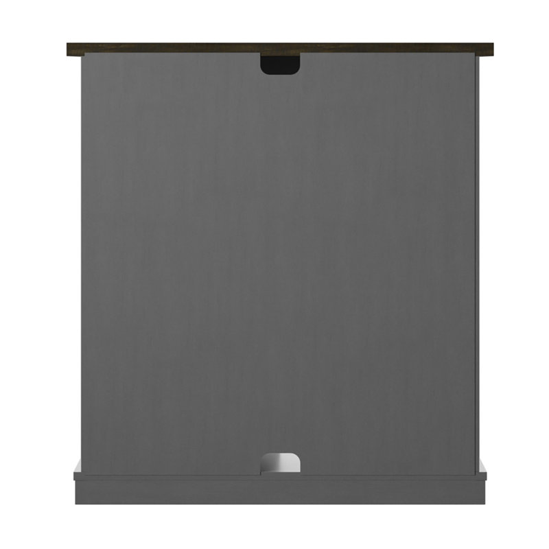 Three Posts™ Lowman Accent Cabinet with Sliding Barn Door & Reviews ...