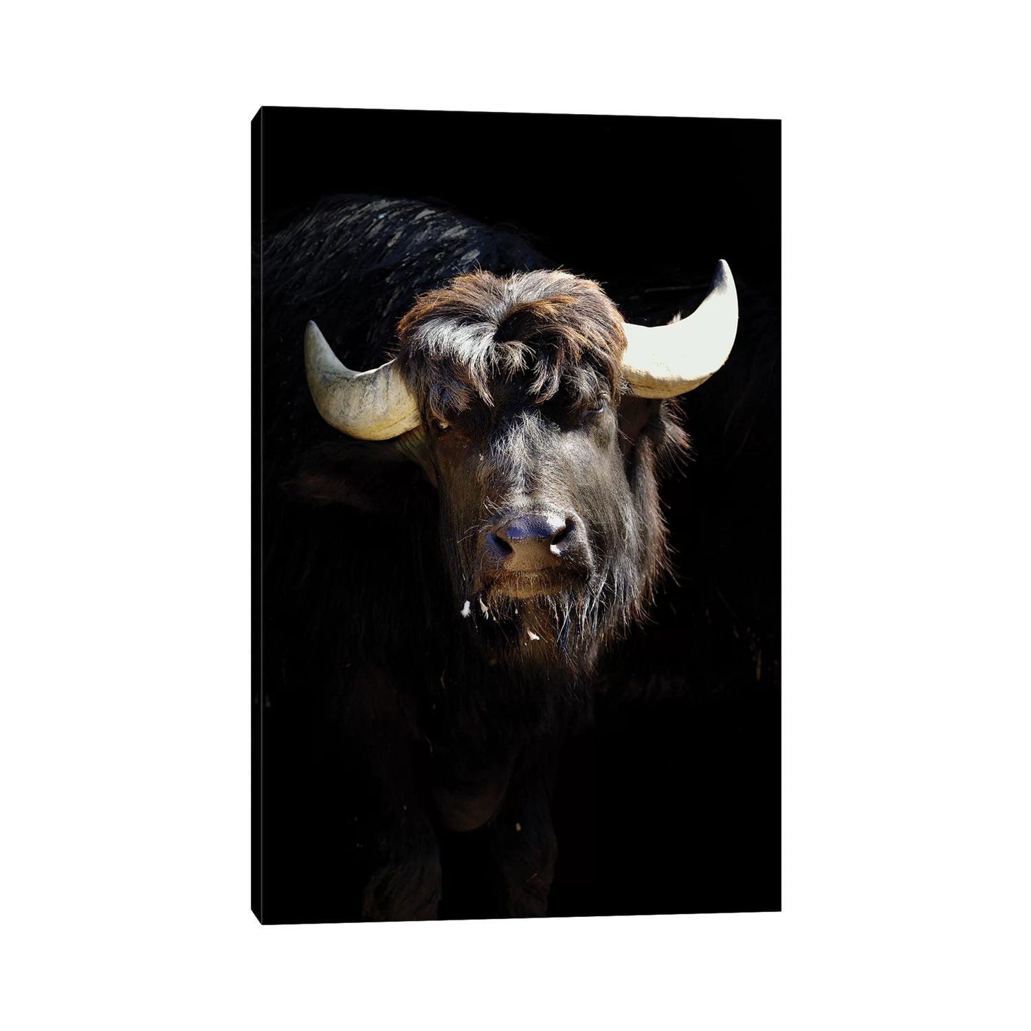East Urban Home Bison by Goran Anastasovski - Wrapped Canvas Photograph ...
