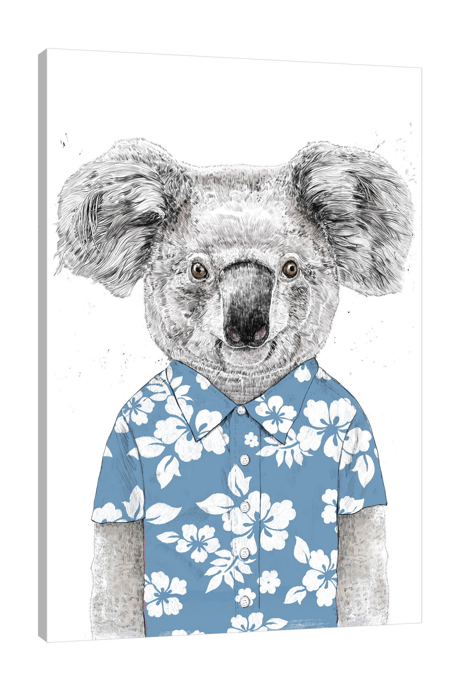 Trinx "Summer Koala (Blue)" Gallery Wrapped Canvas By Balazs Solti ...