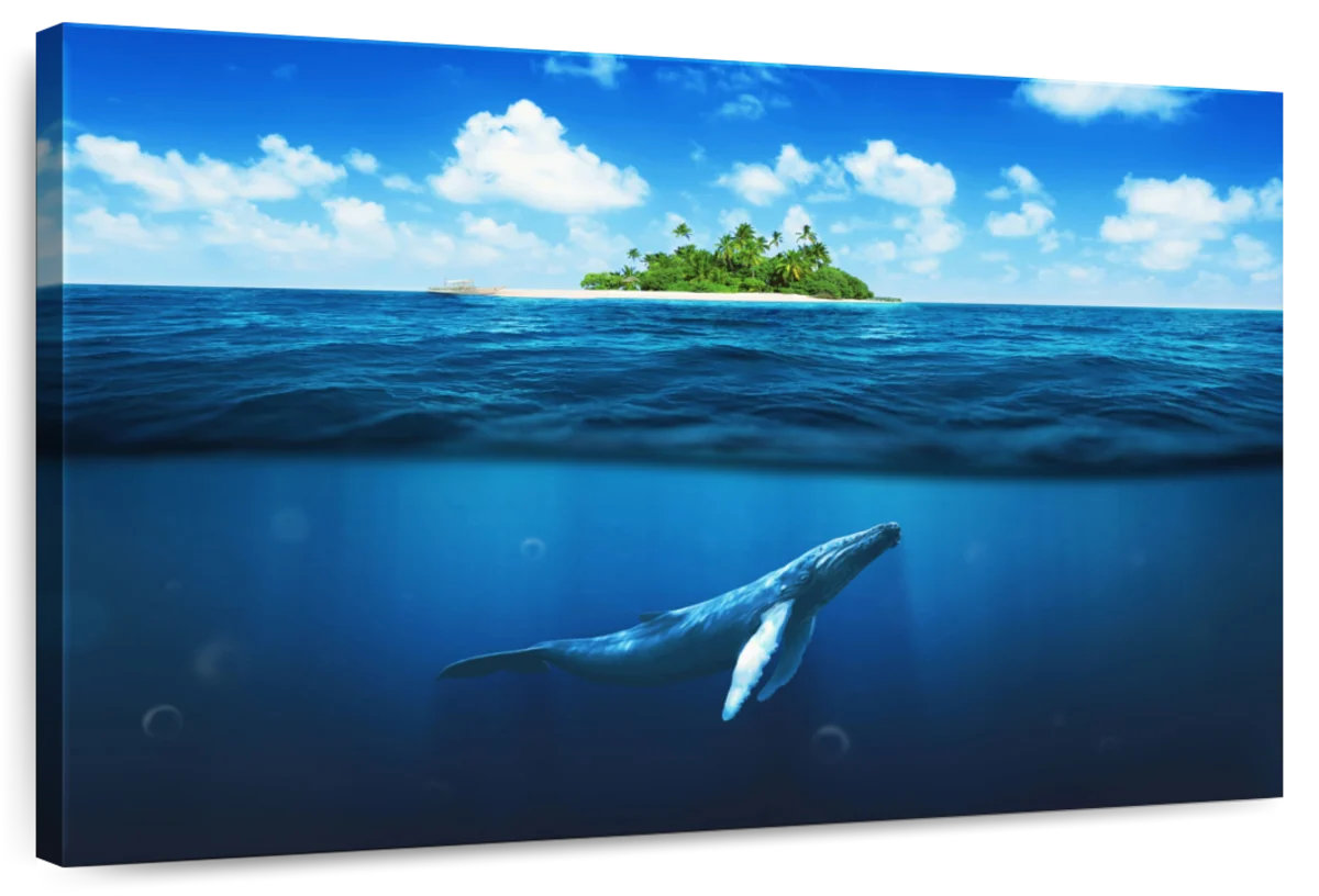 Rosecliff Heights Whale Under Island | Wayfair