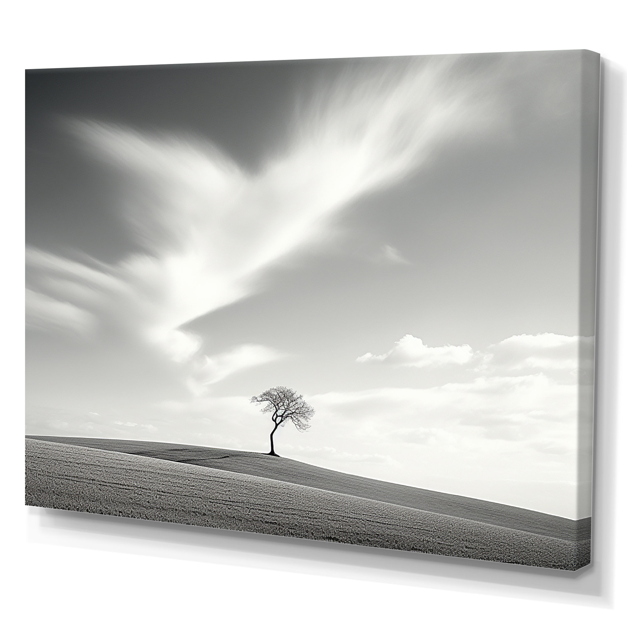 Design Art Black And White Solitude Tree In Meadow - Trees Canvas Print ...