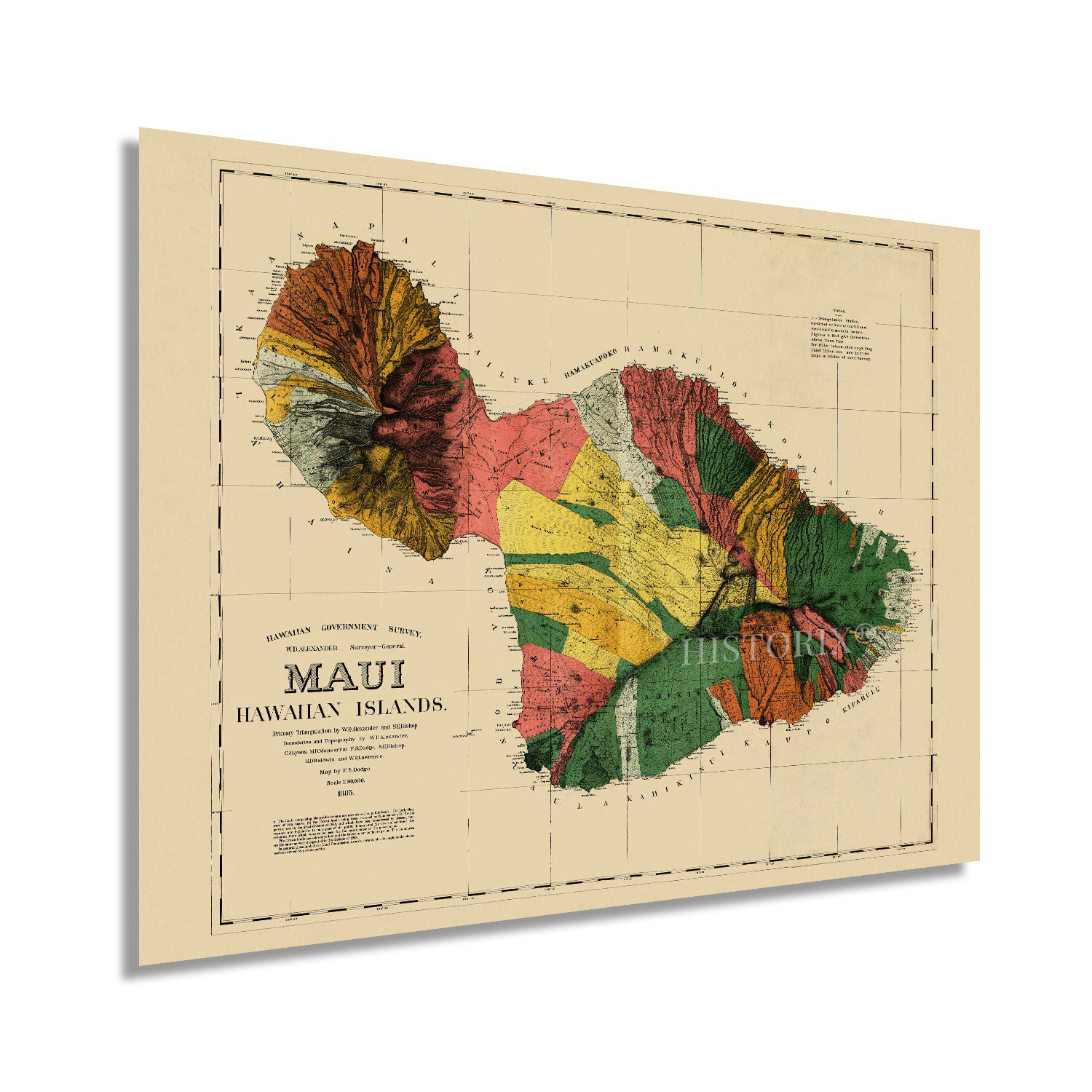 Williston Forge 1885 Map Of Maui Hawaii - Vintage Maui Poster - History ...