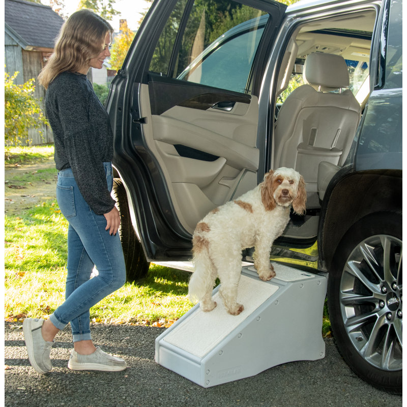 Pet Gear Stramp Stair and Ramp Combination for Dogs/Cats & Reviews ...