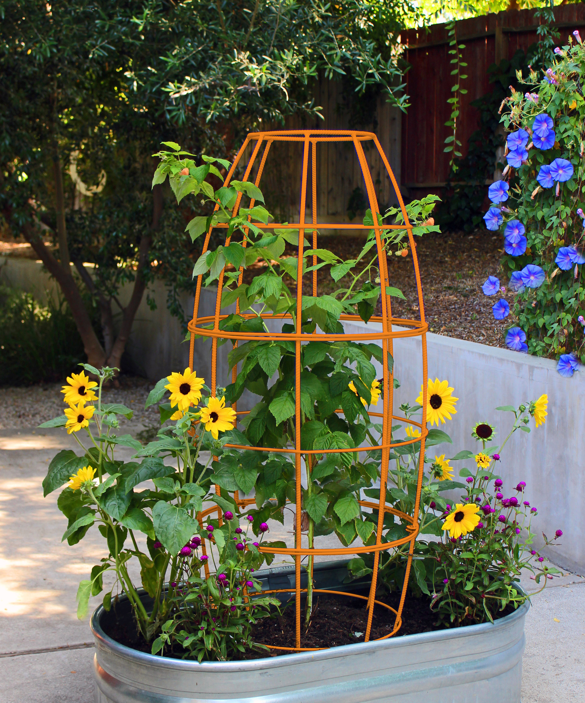 TerraTrellis Toki 58'' H x 24'' W Steel Obelisk Trellis | Wayfair
