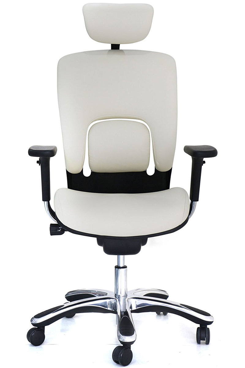 Symple Stuff Genuine Leather Task Chair & Reviews | Wayfair
