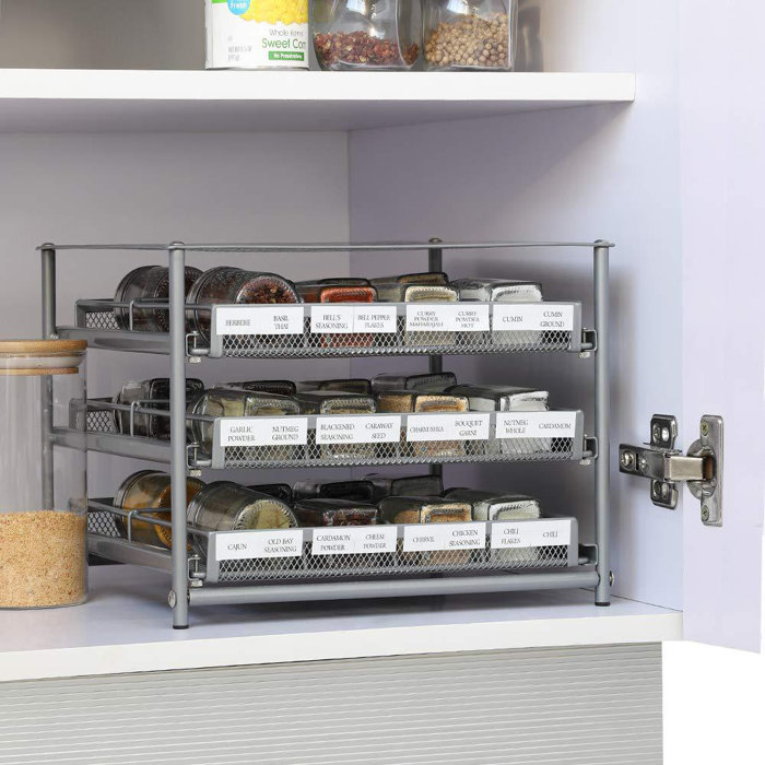 Rebrilliant 24 Spice Rack & Reviews | Wayfair