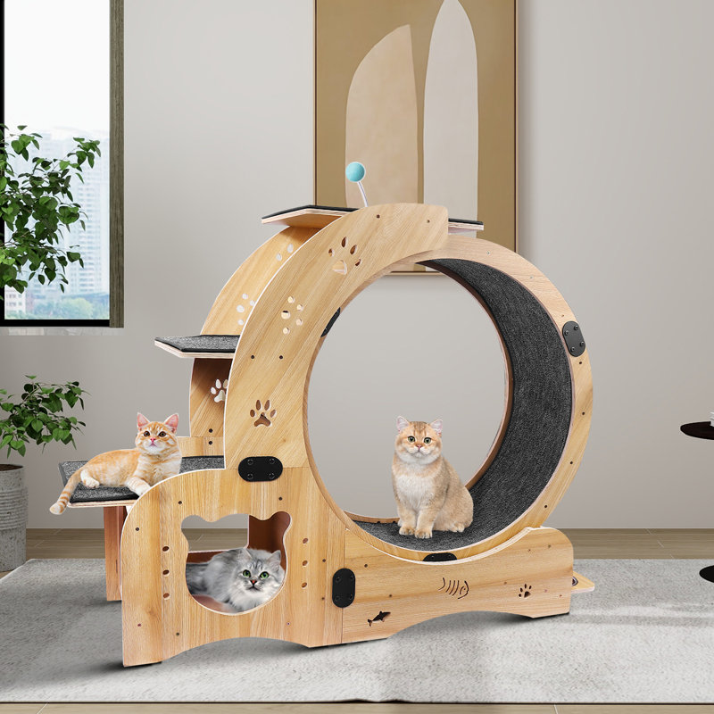 Tucker Murphy Pet™ Eliath 42.15'' H Cat Tree with running wheels and ...