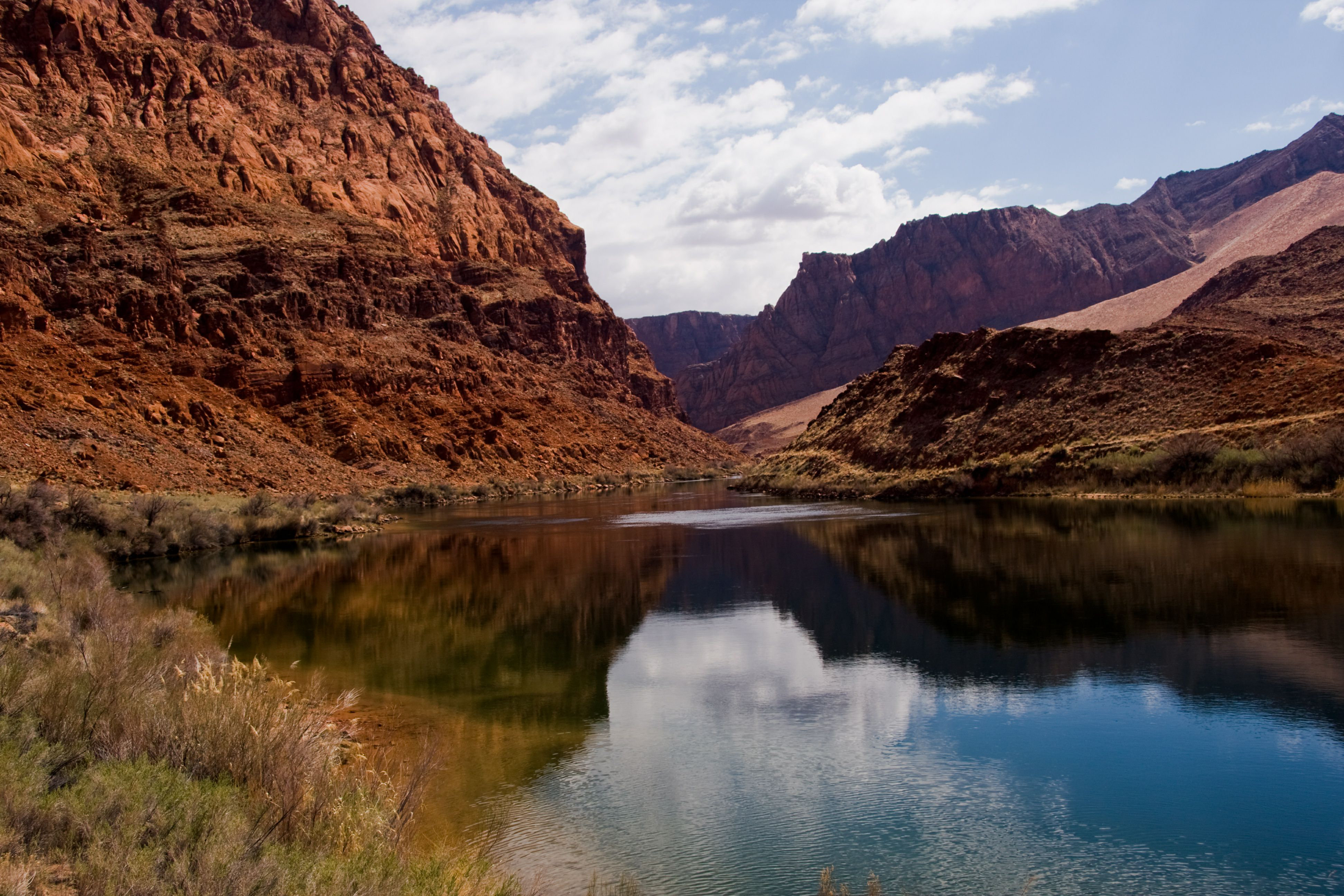 Millwood Pines Colorado River by - Wrapped Canvas Photograph | Wayfair