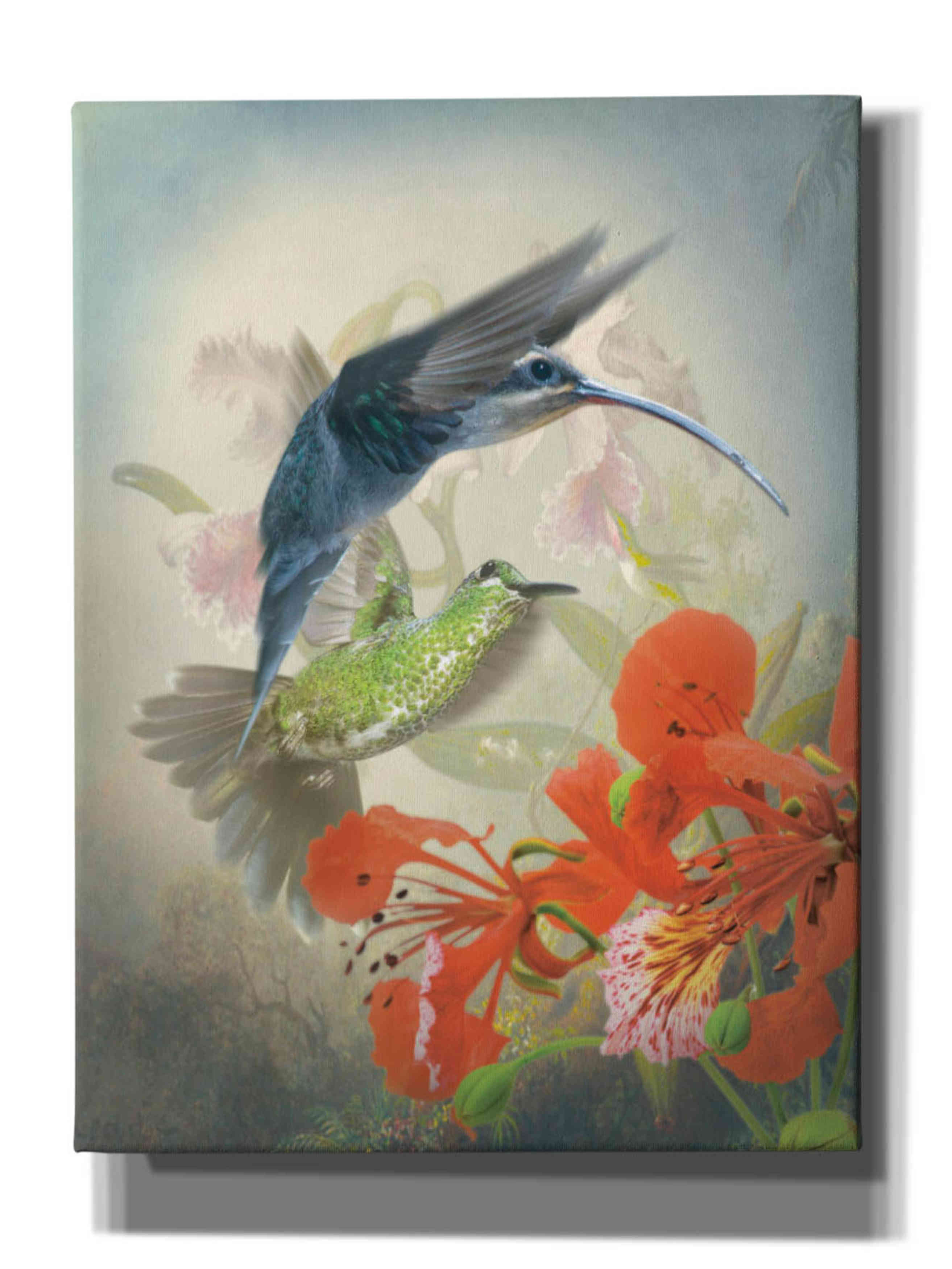 Epic Graffiti 'Hummingbird Cycle II' By Steve Hunziker, Canvas Wall Art ...