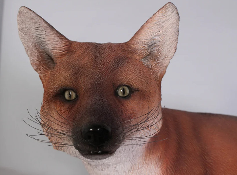 Loon Peak® Jamyra Red Fox Life Size Statue | Wayfair