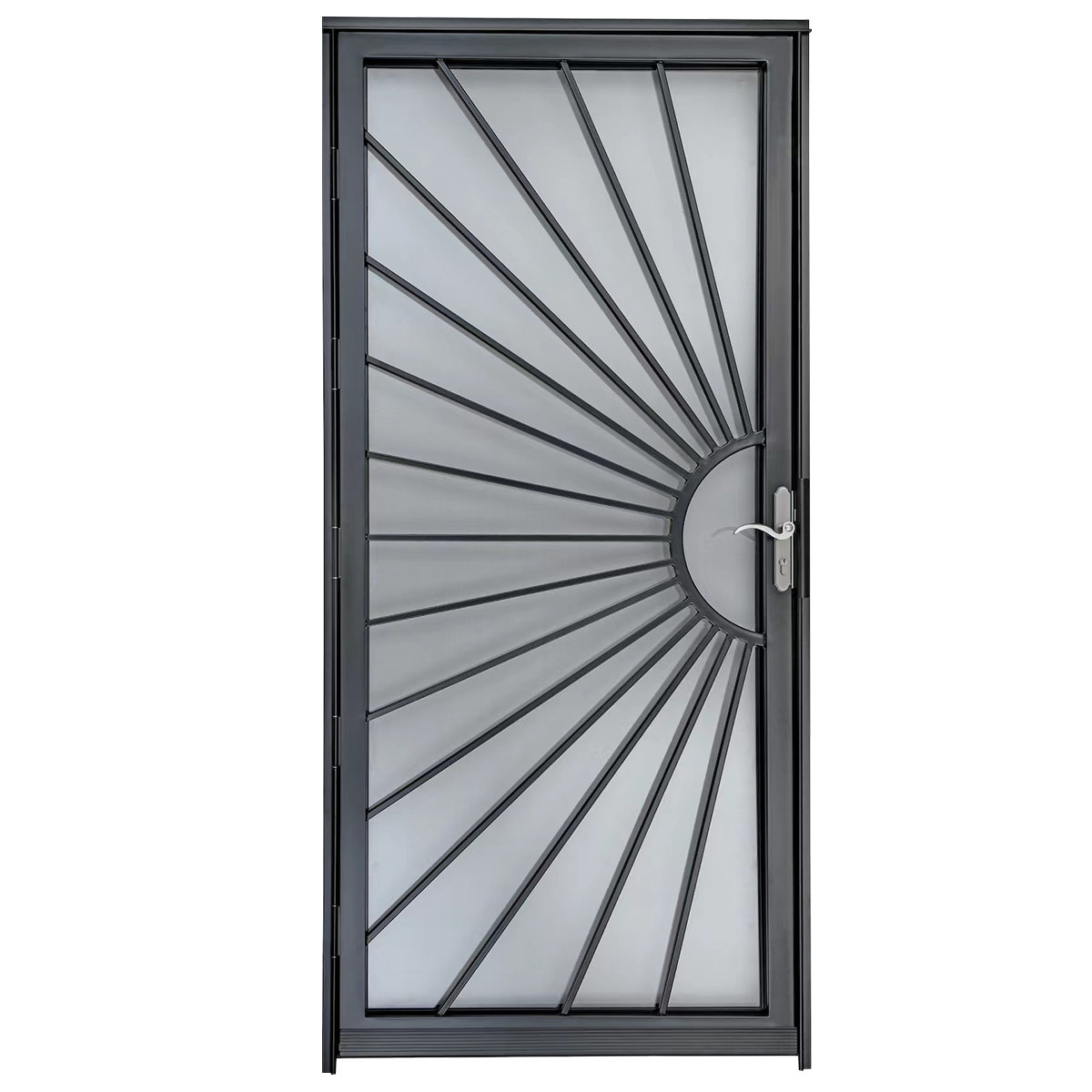 Grisham Deluxe Steel Security Door, 36 x 80 Inch Iron Security Storm ...