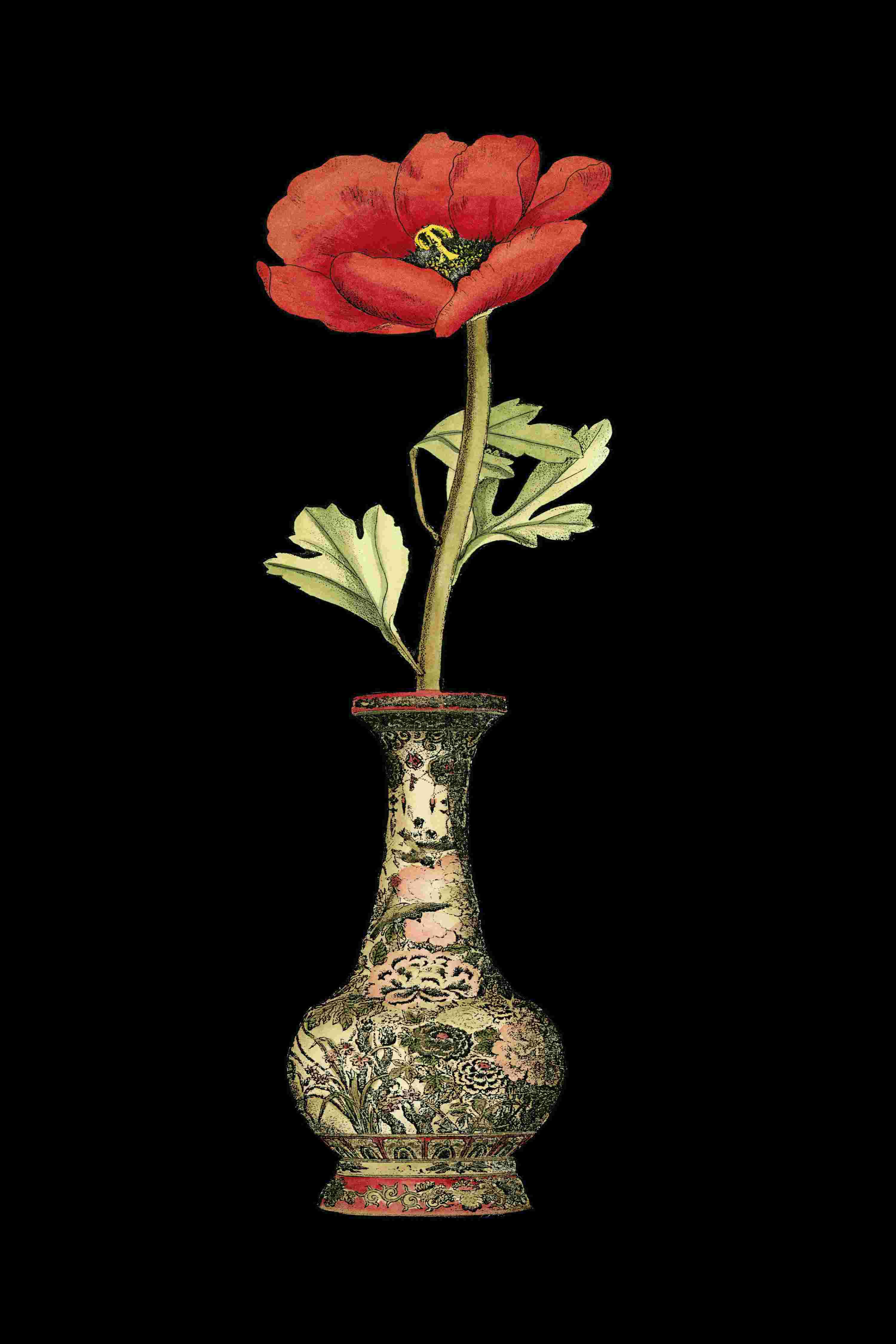 Red Barrel Studio Poppy Magic II - Wayfair Canada