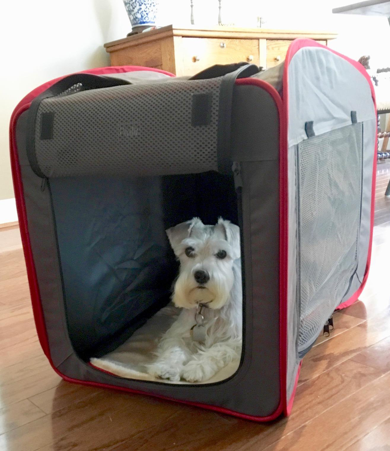 Tucker Murphy Pet™ Portable Dog Crates for Medium Dogs, Travel Dog ...