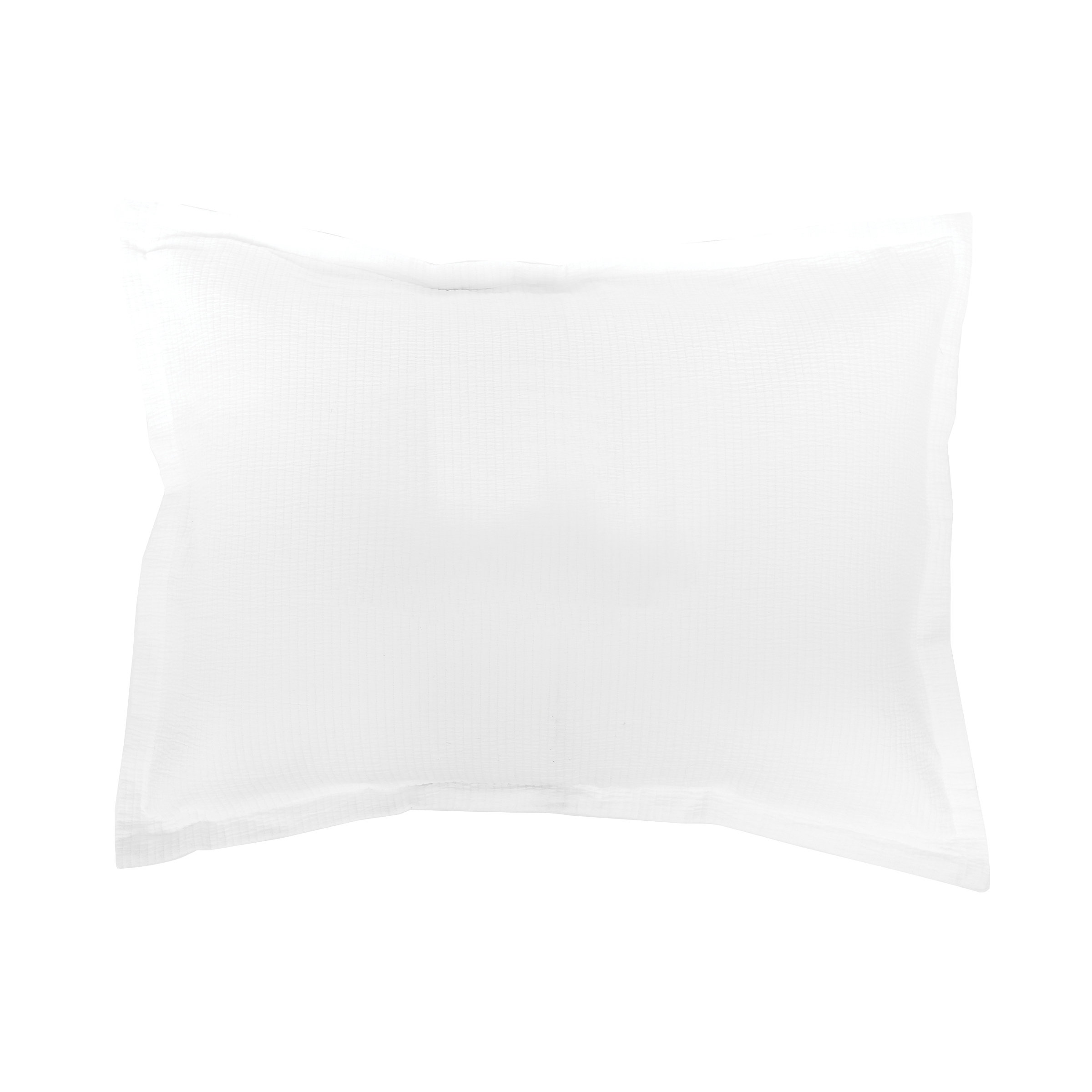 Elisabeth York Delfina 100% Cotton Ties Sham & Reviews | Wayfair