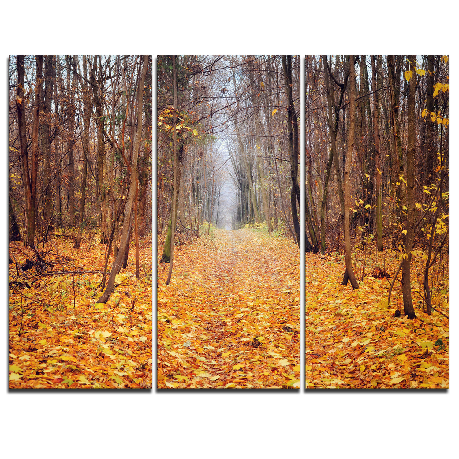 Design Art Yellow Fallen Leaves in Morning - 3 Piece Graphic Art on ...
