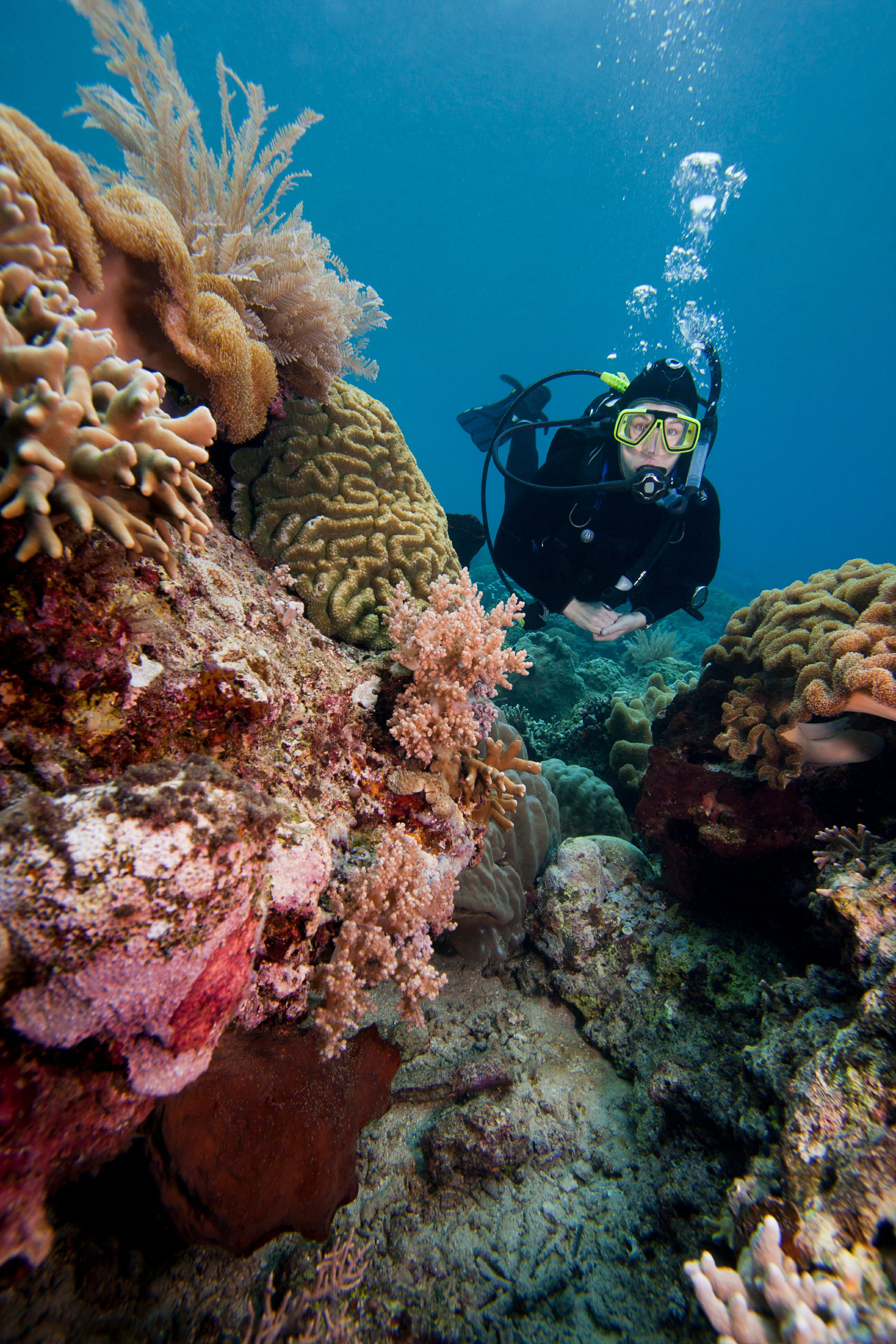 Highland Dunes Scuba Diver Swimming by Michaelstubblefield - Wrapped ...
