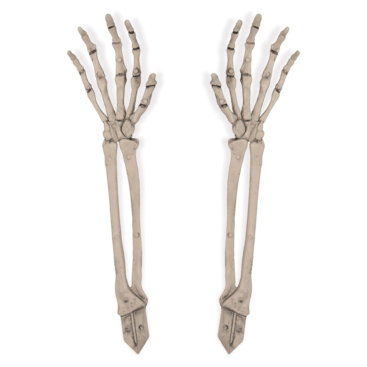 Union Rustic Halloween Plastic Skeleton Hand Yard Stakes | Wayfair
