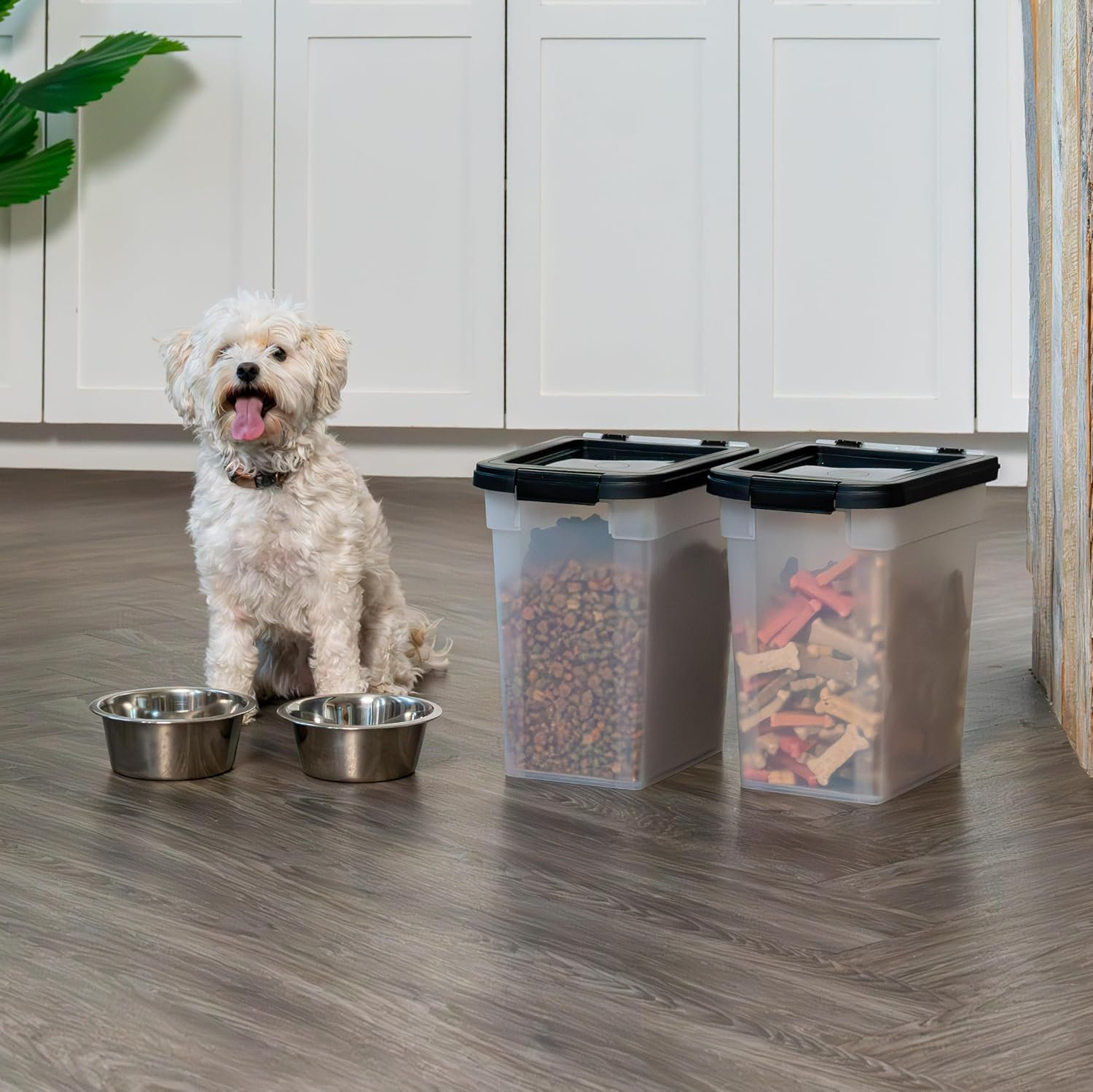Zeki Shoggy Airtight Dog Food Storage Container, Up To 10 Lbs Each, 2 ...