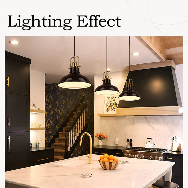 Everly Quinn Tanaja 1 - Light Single Dome Pendant & Reviews | Wayfair