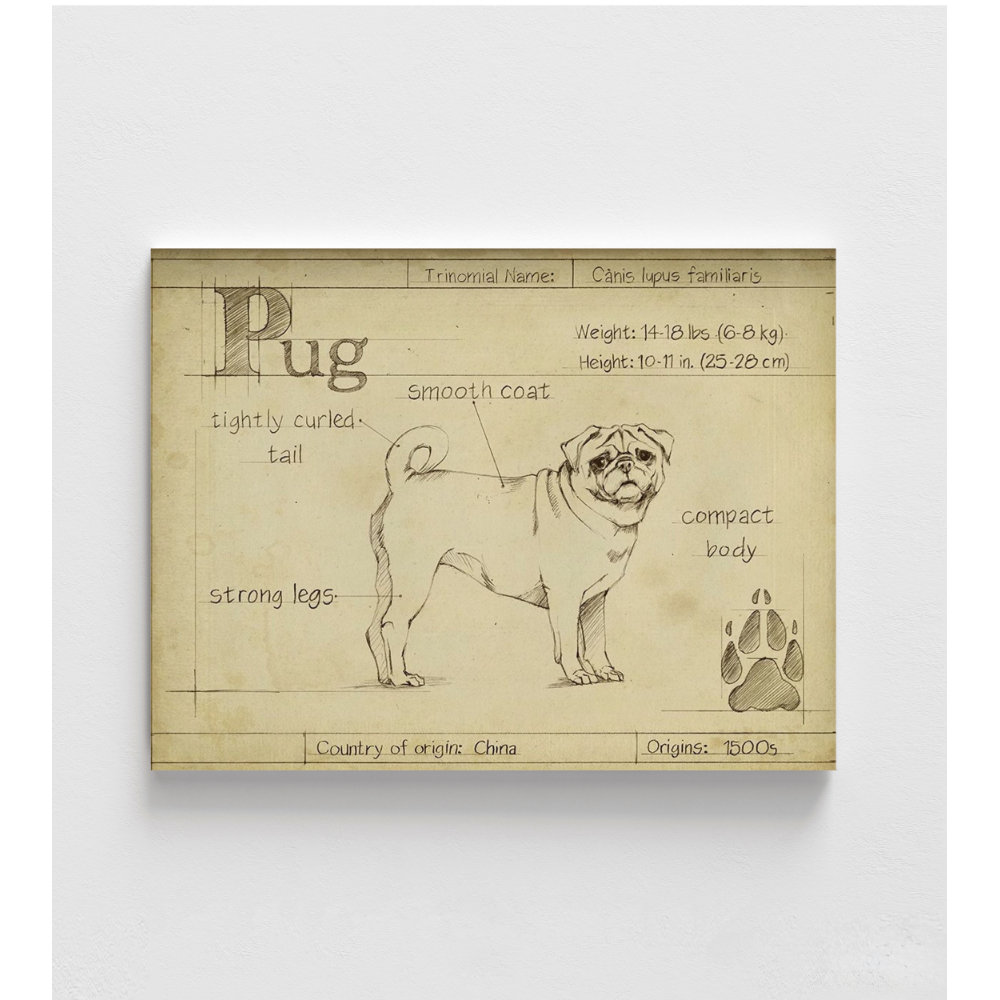 WeFrameArt Pug Wall Print, Framed Small Dog Art, Cute Pug Art, Vintage ...