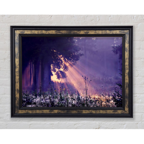 Bright Star Sunray Tree - Single Picture Frame Art Prints | Wayfair.co.uk