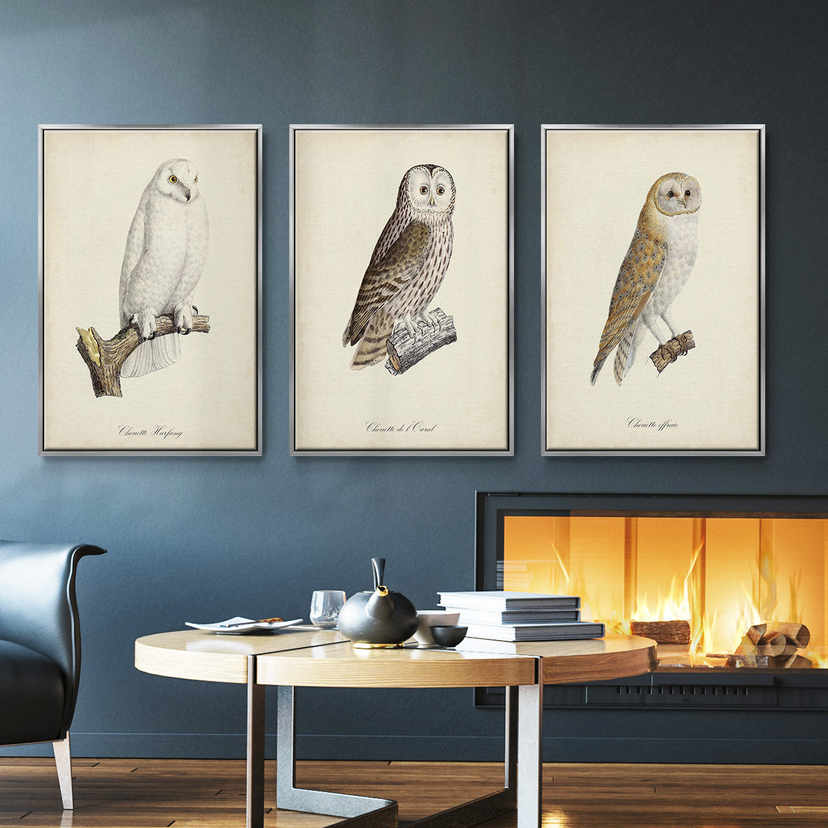 Wexford Home French Owls IV 3 Pieces | Wayfair